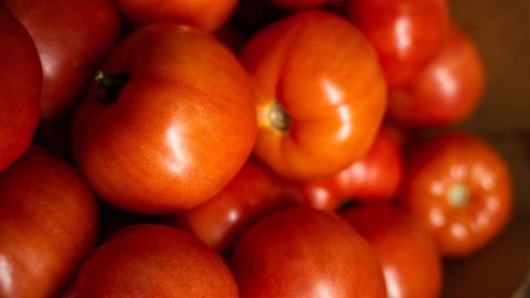 Gromex Inc | Distributor de Productos Mexicano